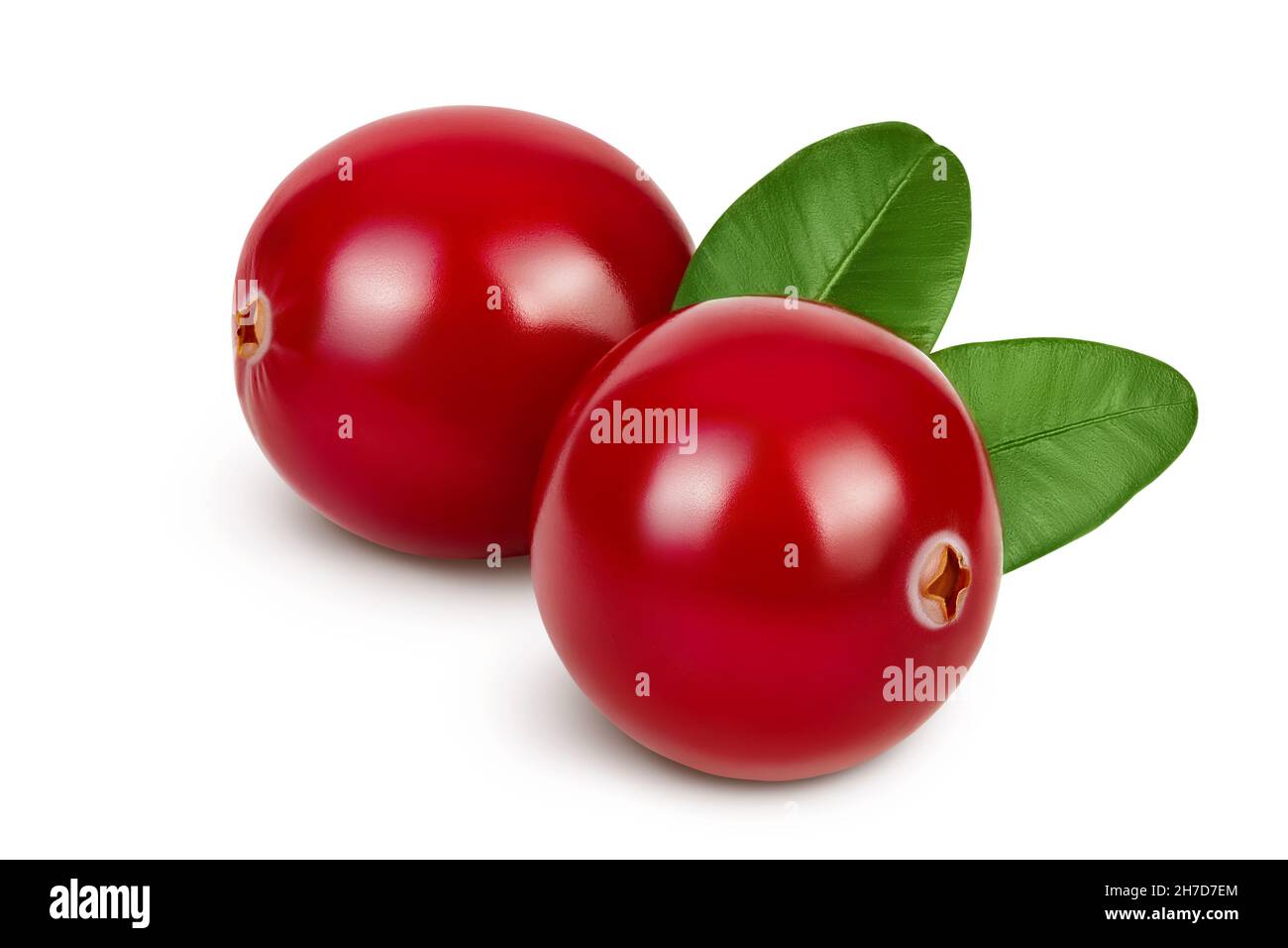 Cranberry with leaves isolated on white background with clipping path ...