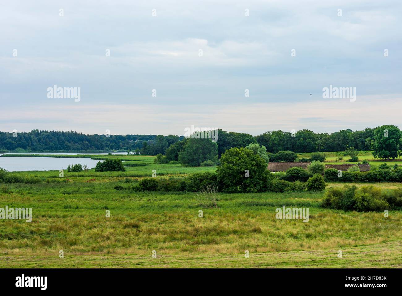 Busdorf: lake Haddebyer Noor, view to Hedeby Viking Museum in ...