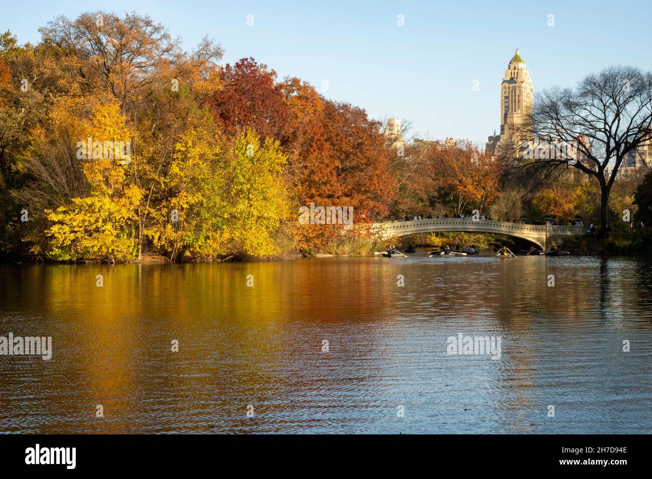Central Park in New York City showcases beautiful fall foliage , USA ...