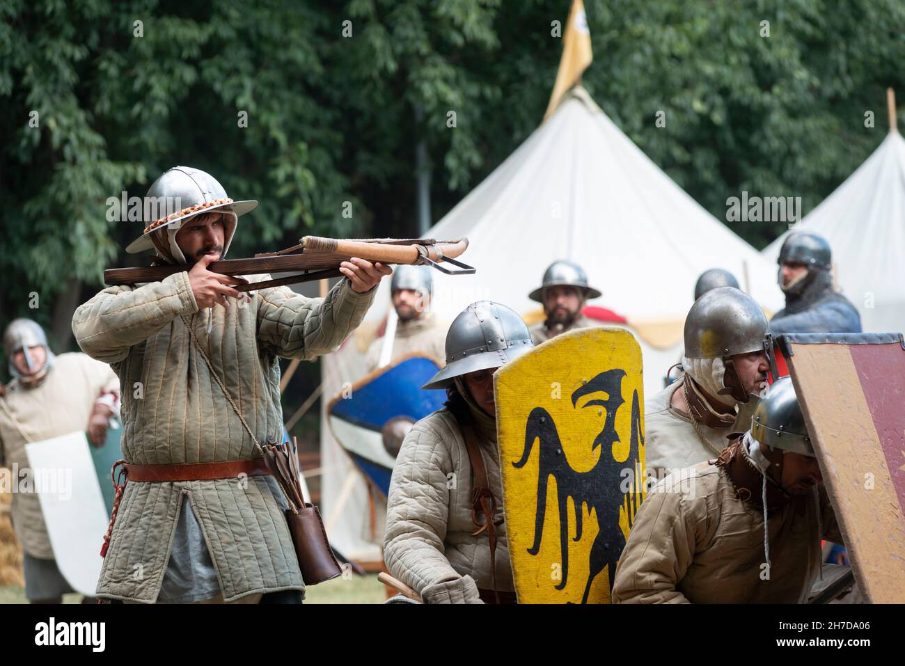 Arbalest hi-res stock photography and images - Alamy