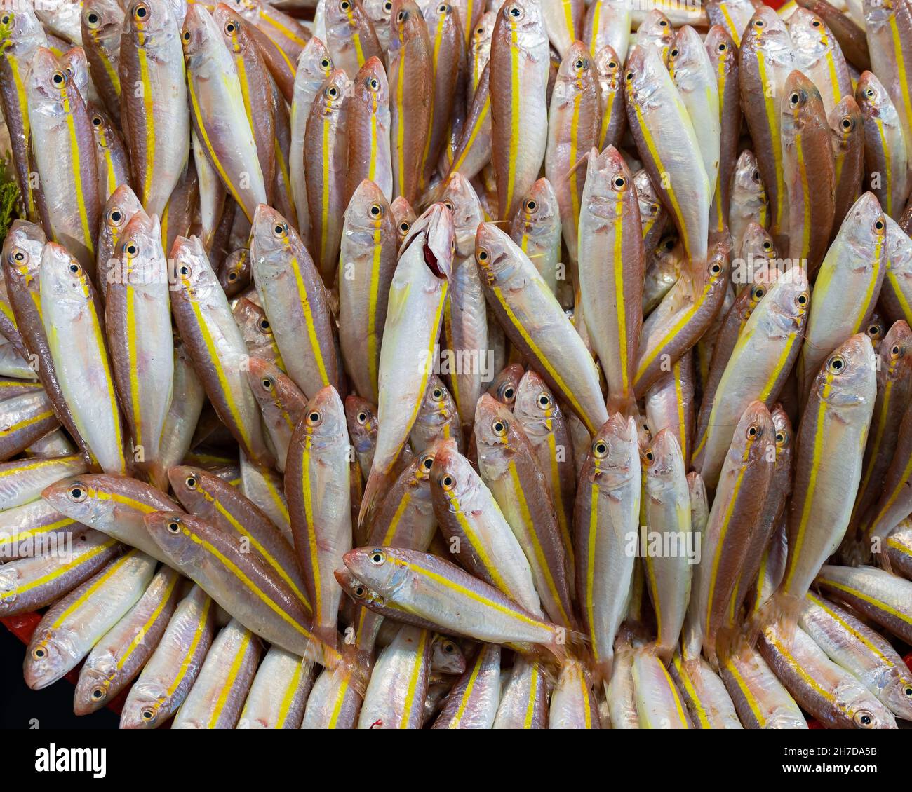 Top view of raw fish shelf in bazaar Stock Photo - Alamy