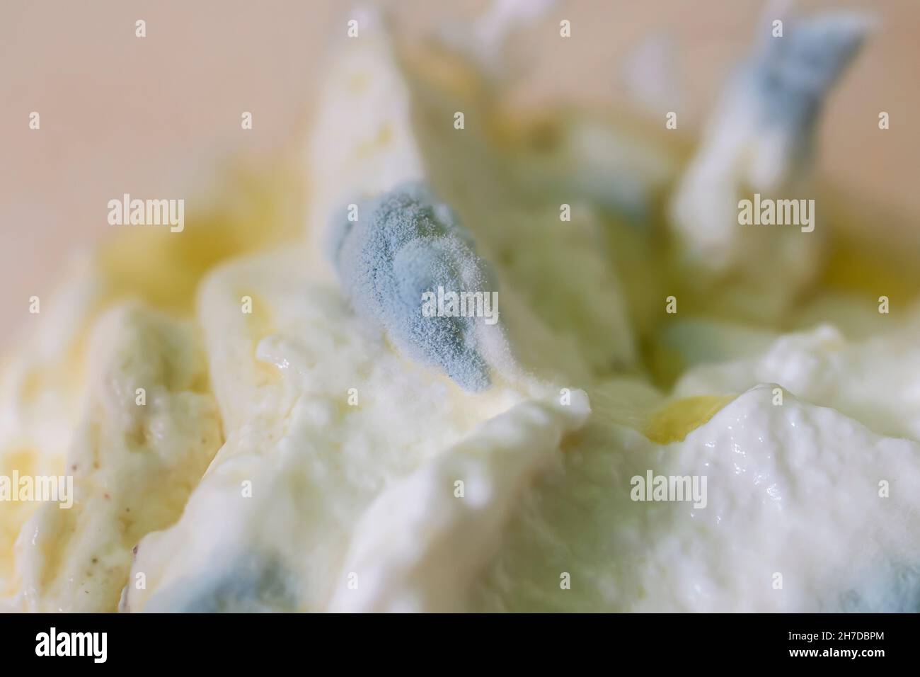 Poisonous cheese hi-res stock photography and images - Alamy