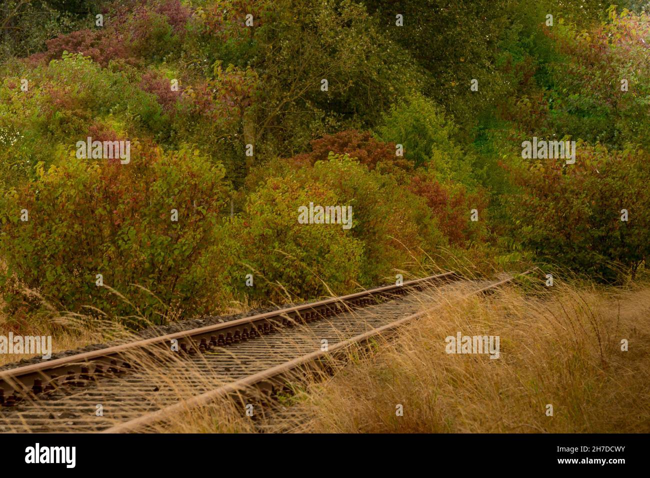an old and rusted abandoned railway track Stock Photo - Alamy