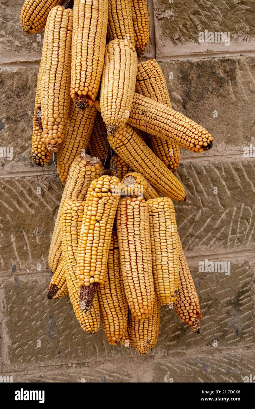 China corn historical hi-res stock photography and images - Alamy