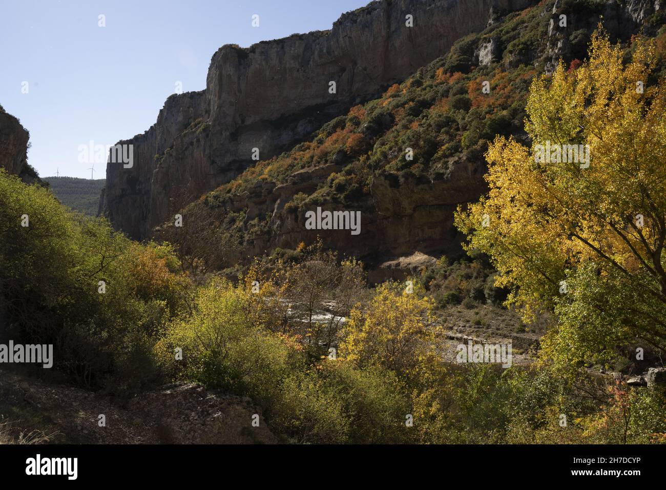 Landscape of rocky hills covered in the greenery in the Pyrenees in ...