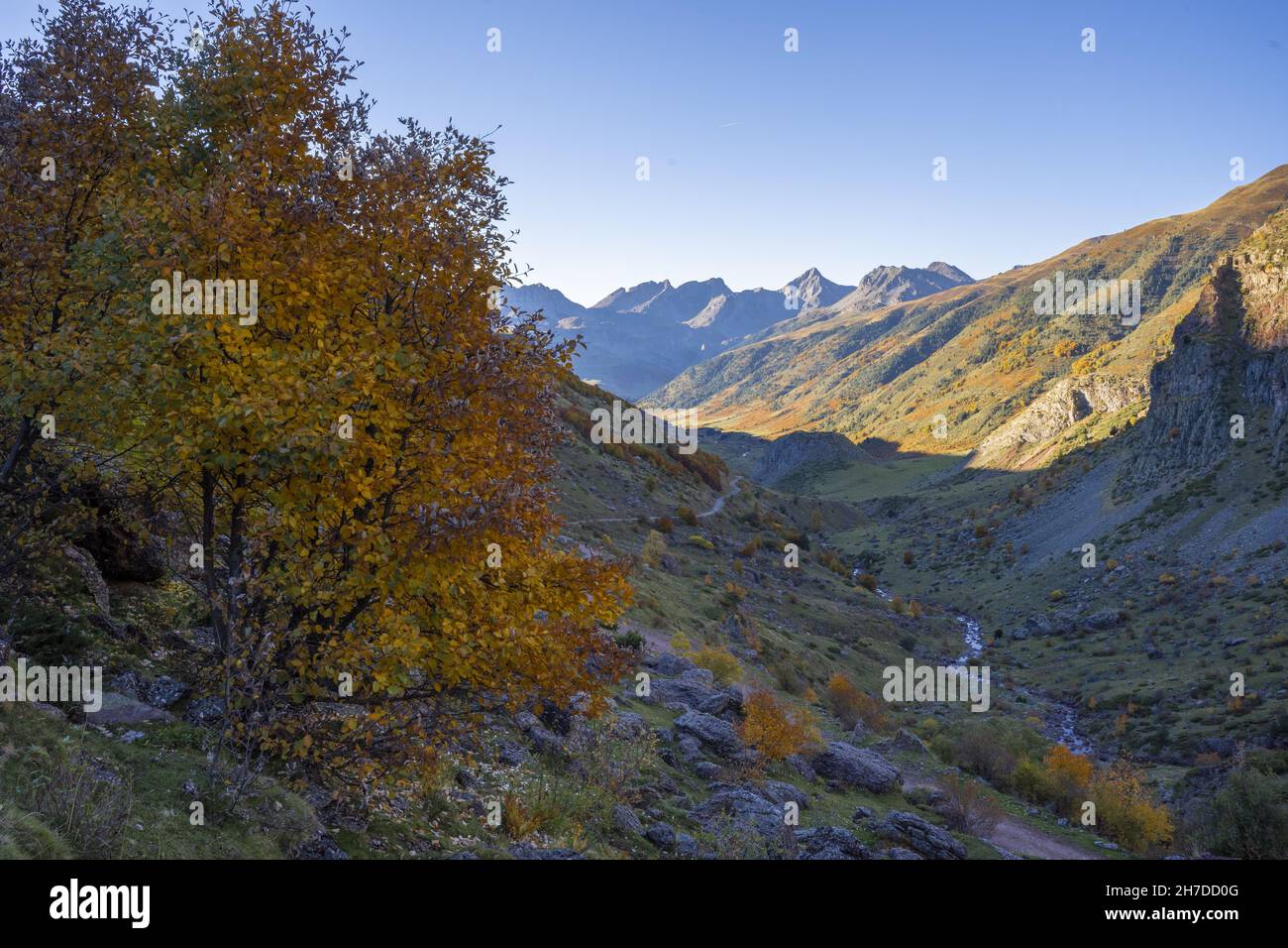 Landscape of rocky hills covered in the greenery i the Pyrenees in ...