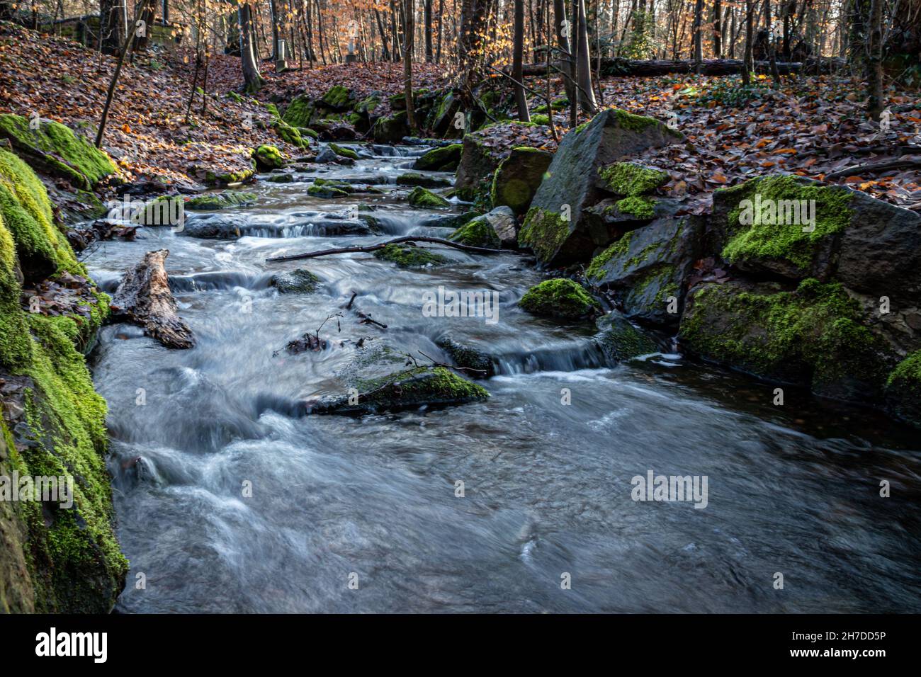 a fast running mountain stream Stock Photo - Alamy