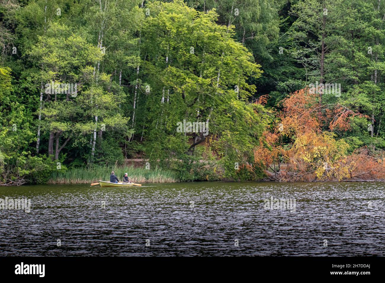 Rowboat on a colorful lake Stock Photo - Alamy