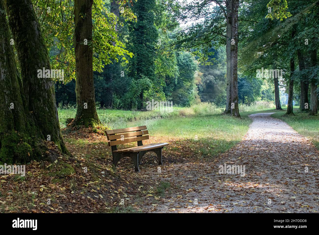 Sun ray bench hi-res stock photography and images - Alamy