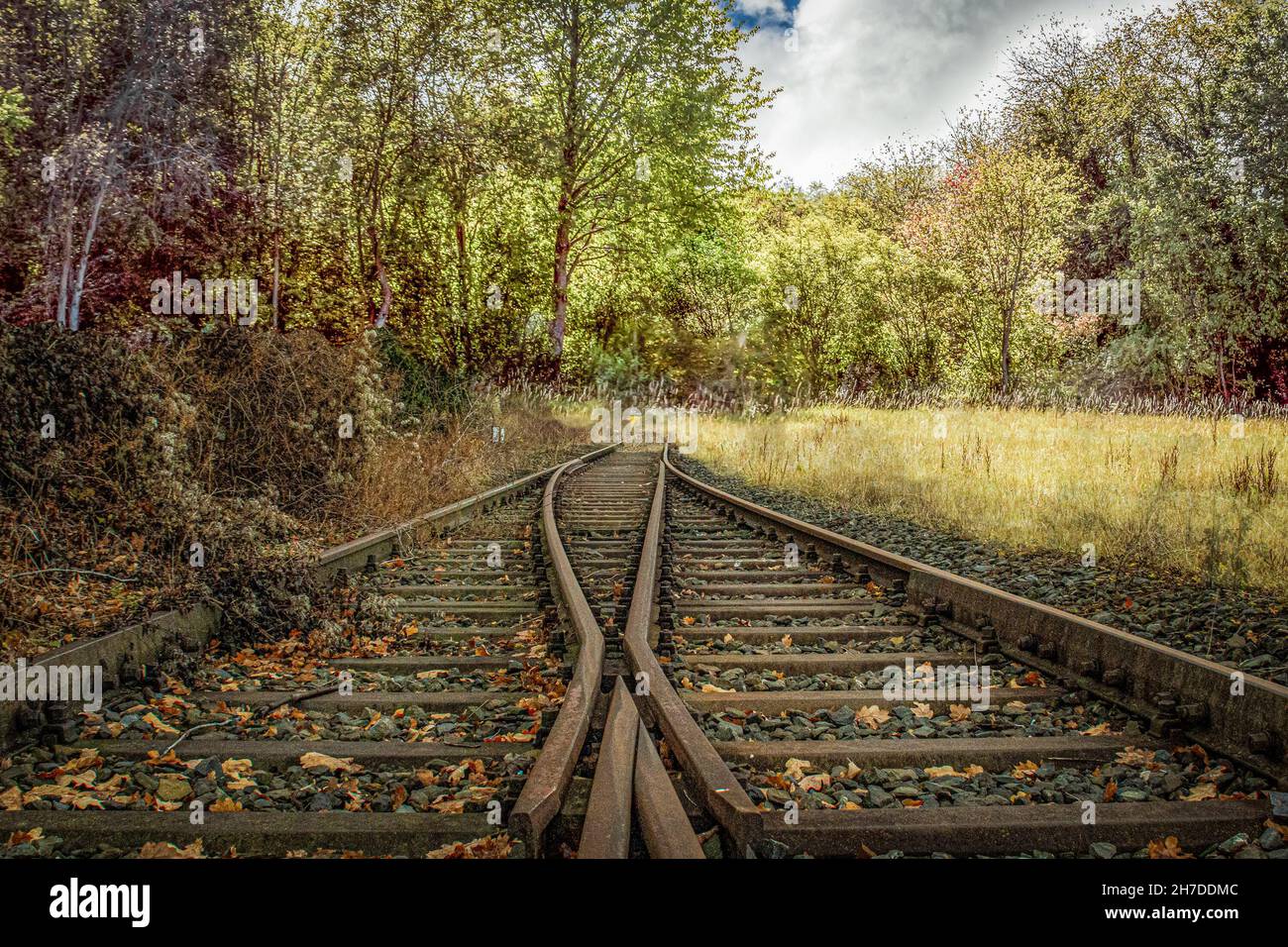 Old railroad tracks through forest hi-res stock photography and images ...