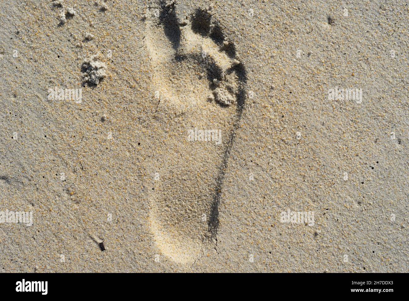 Natural background of sand with the imprint of a human foot Stock Photo ...