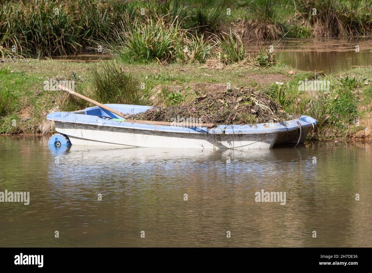 Rowing boat with weeds on a pond after cleaning it Stock Photo - Alamy