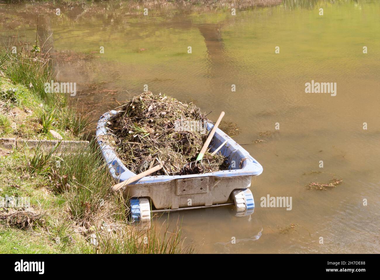 Pond cleaning weeds hi-res stock photography and images - Alamy