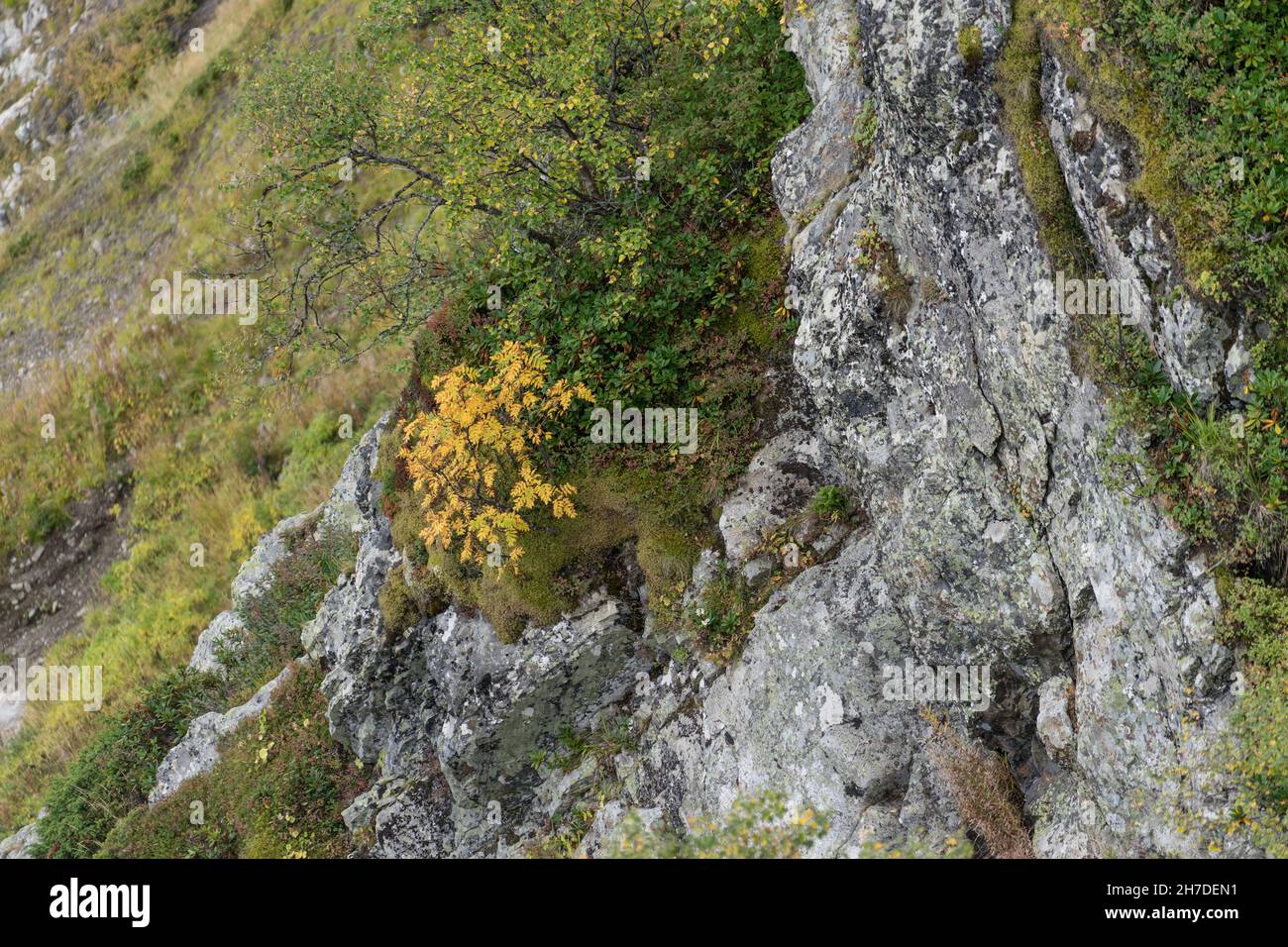 nature background with mountains and greenery in the autumn time of ...