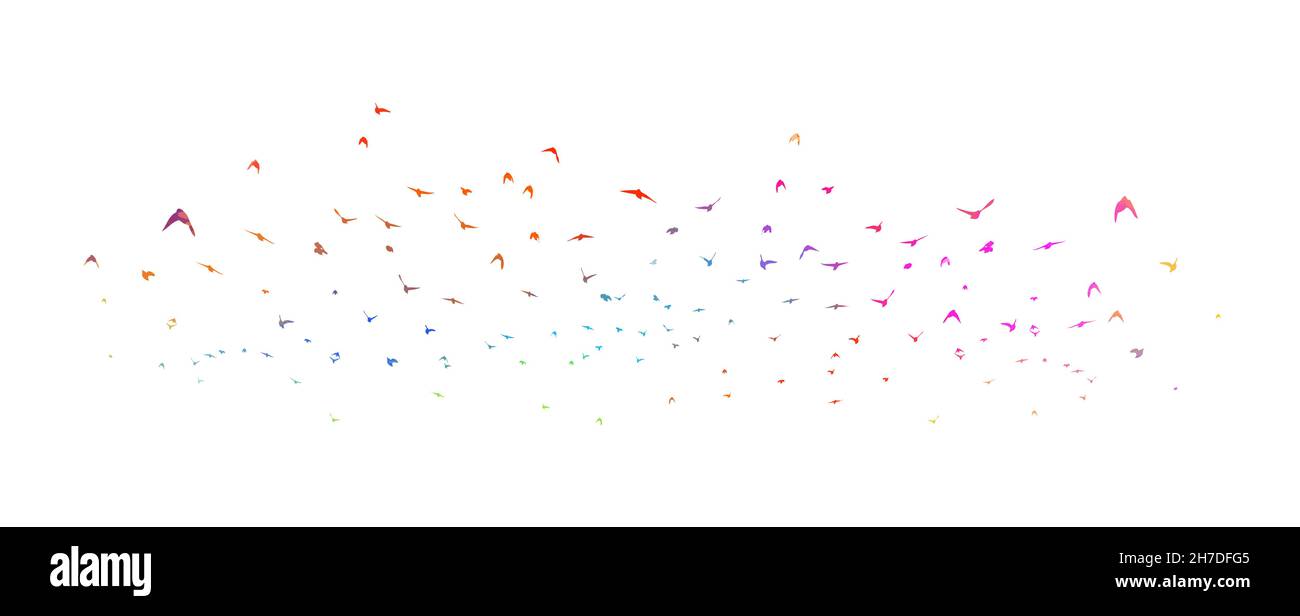 Colorful flying birds in the sky. Vector Stock Vector Image & Art - Alamy