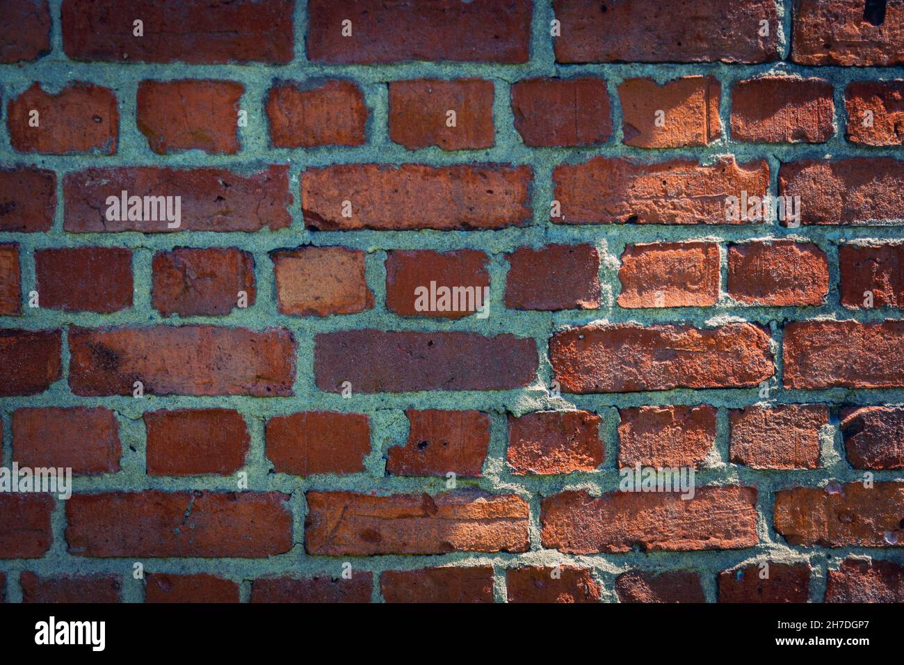 Red Brick Halifax