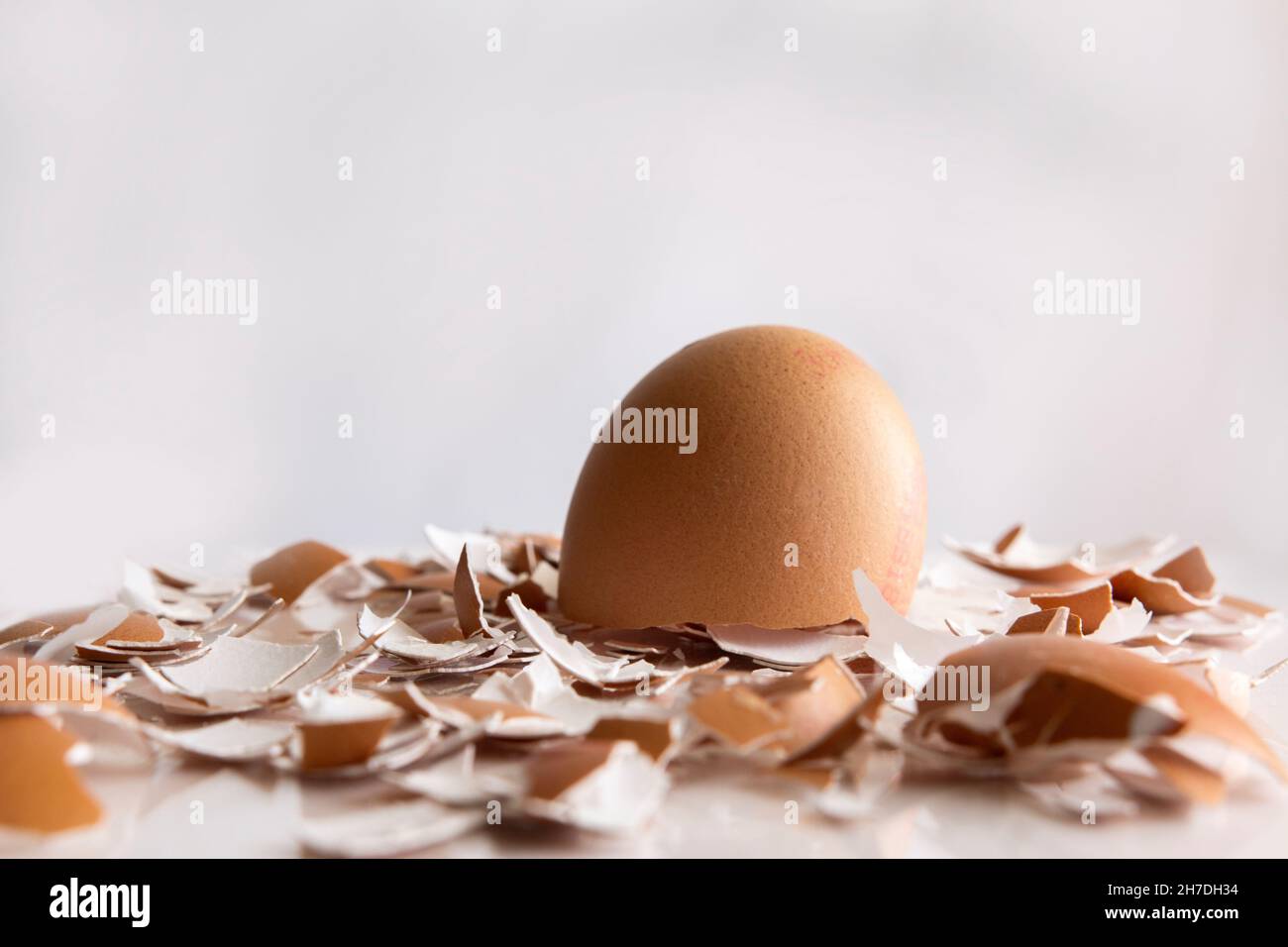 Broken egg shells hi-res stock photography and images - Alamy