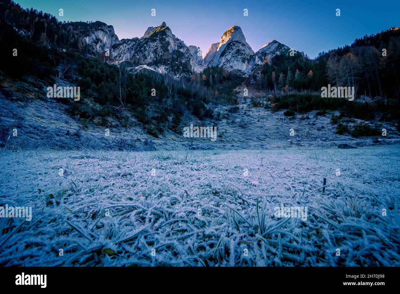 Due to the lowering of the water level during winter the lake bed of ...