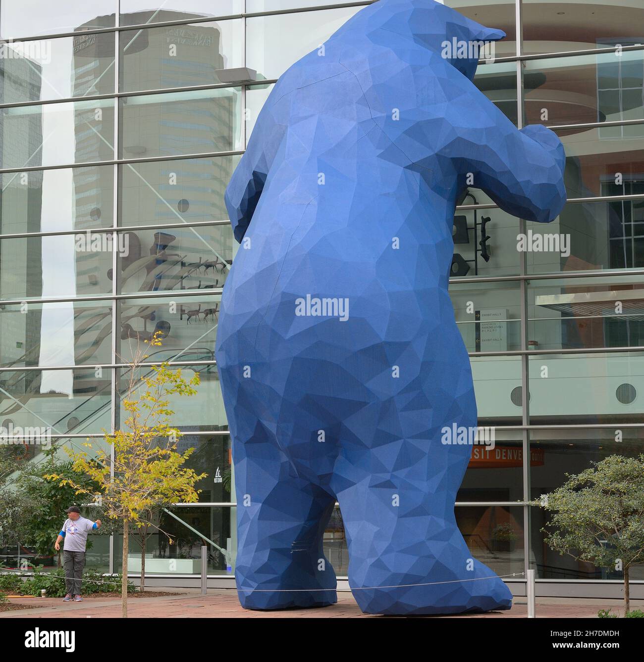 The big blue bear at the Colorado Convention Center, Denver CO Stock ...