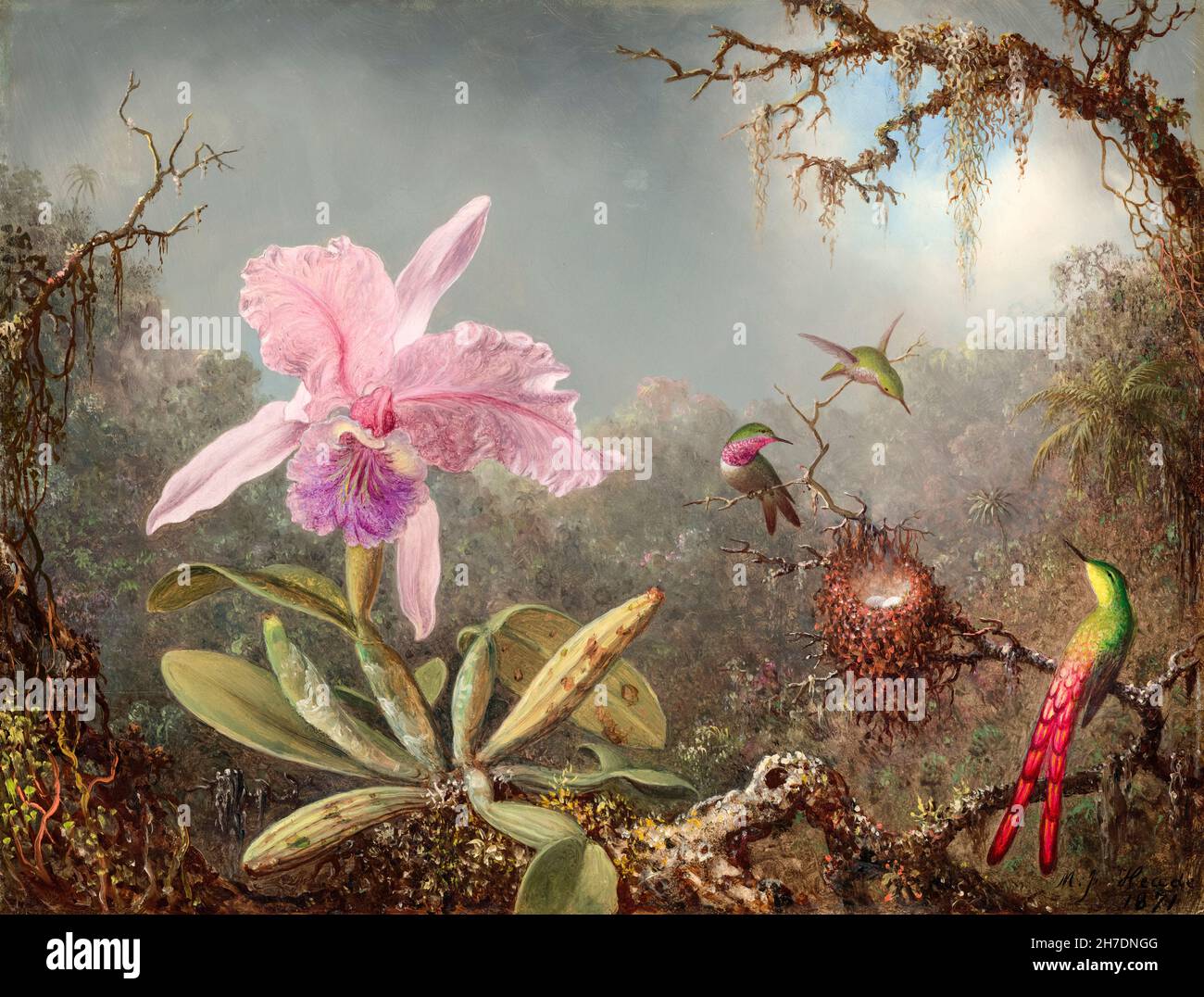 Martin Johnson Heade, Cattleya Orchid and Three Hummingbirds, painting ...