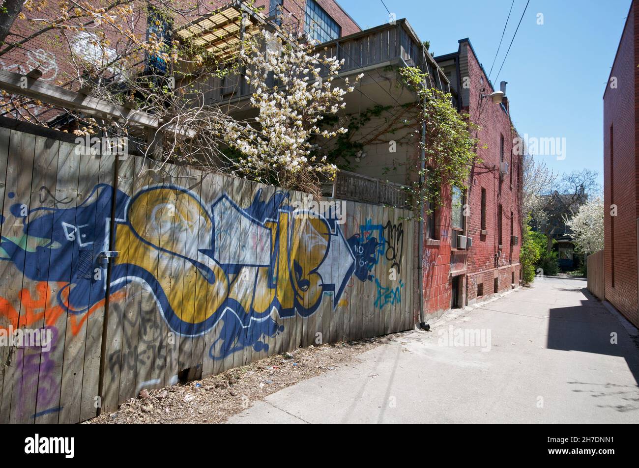 Abstract colourful fragment of graffiti paintings on wood fence. Street ...