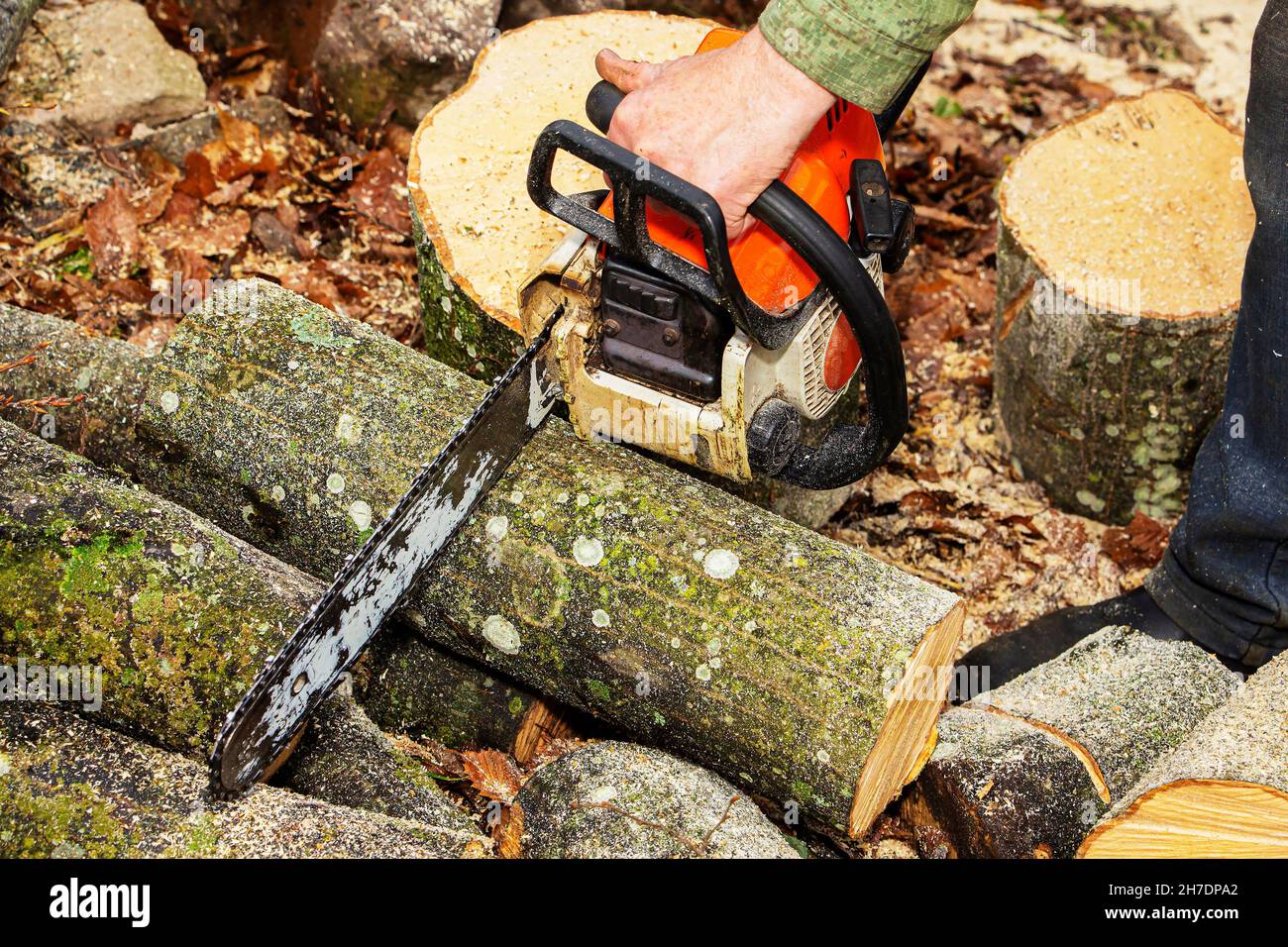 Close-up professional chainsaw blade cutting log of wood Stock Photo ...