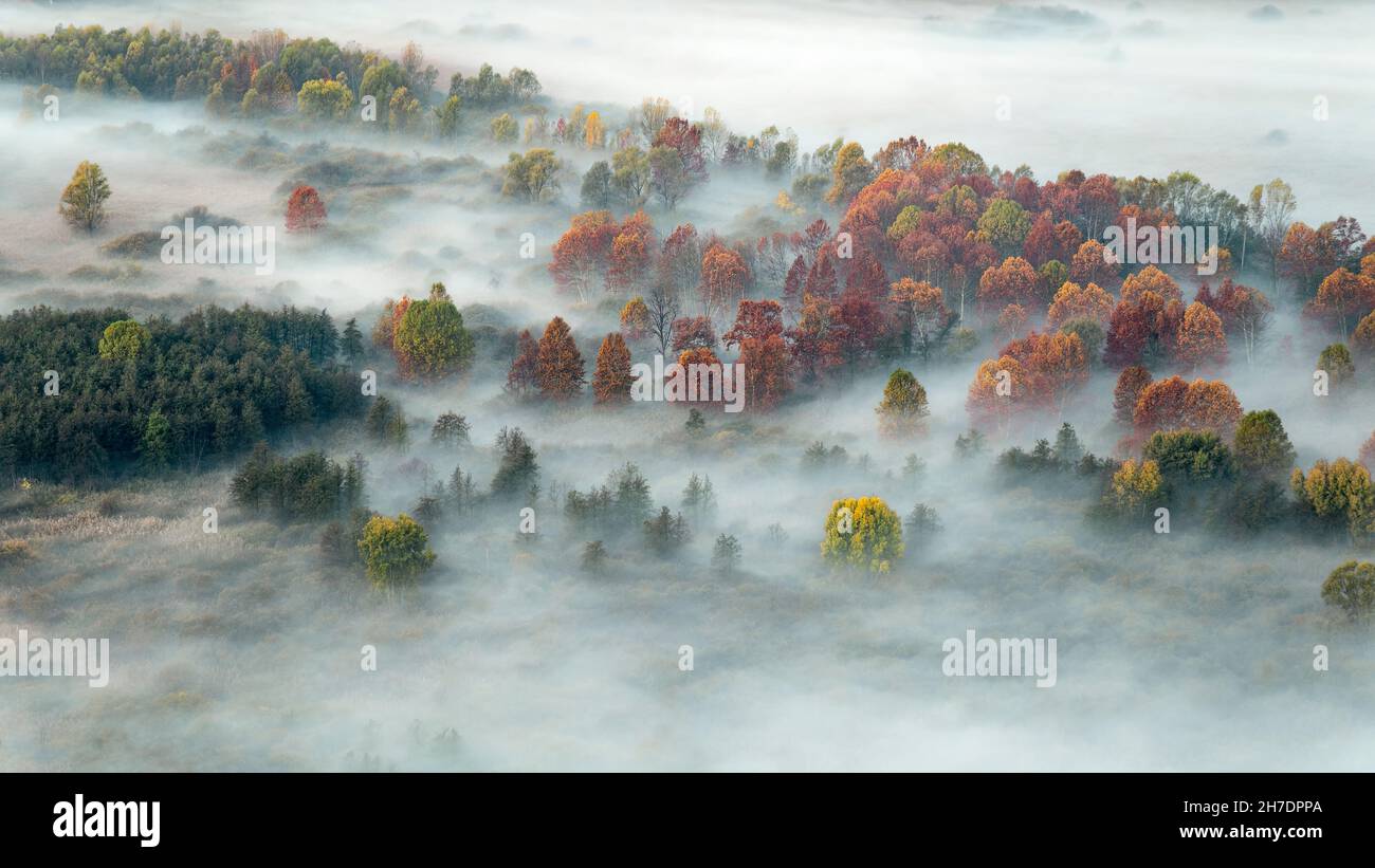 All the colors of autumn, Italy landscape Stock Photo - Alamy