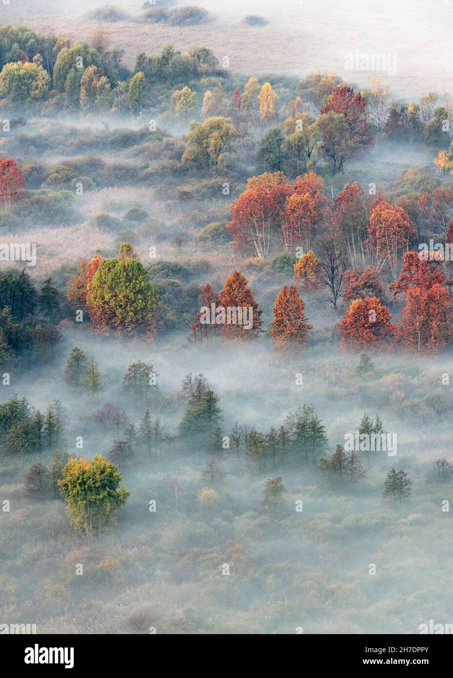 All the colors of autumn, Italy landscape Stock Photo - Alamy
