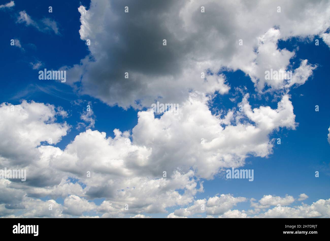 Heavy rain clouds flying in the deep blue summer sky, storm is ...