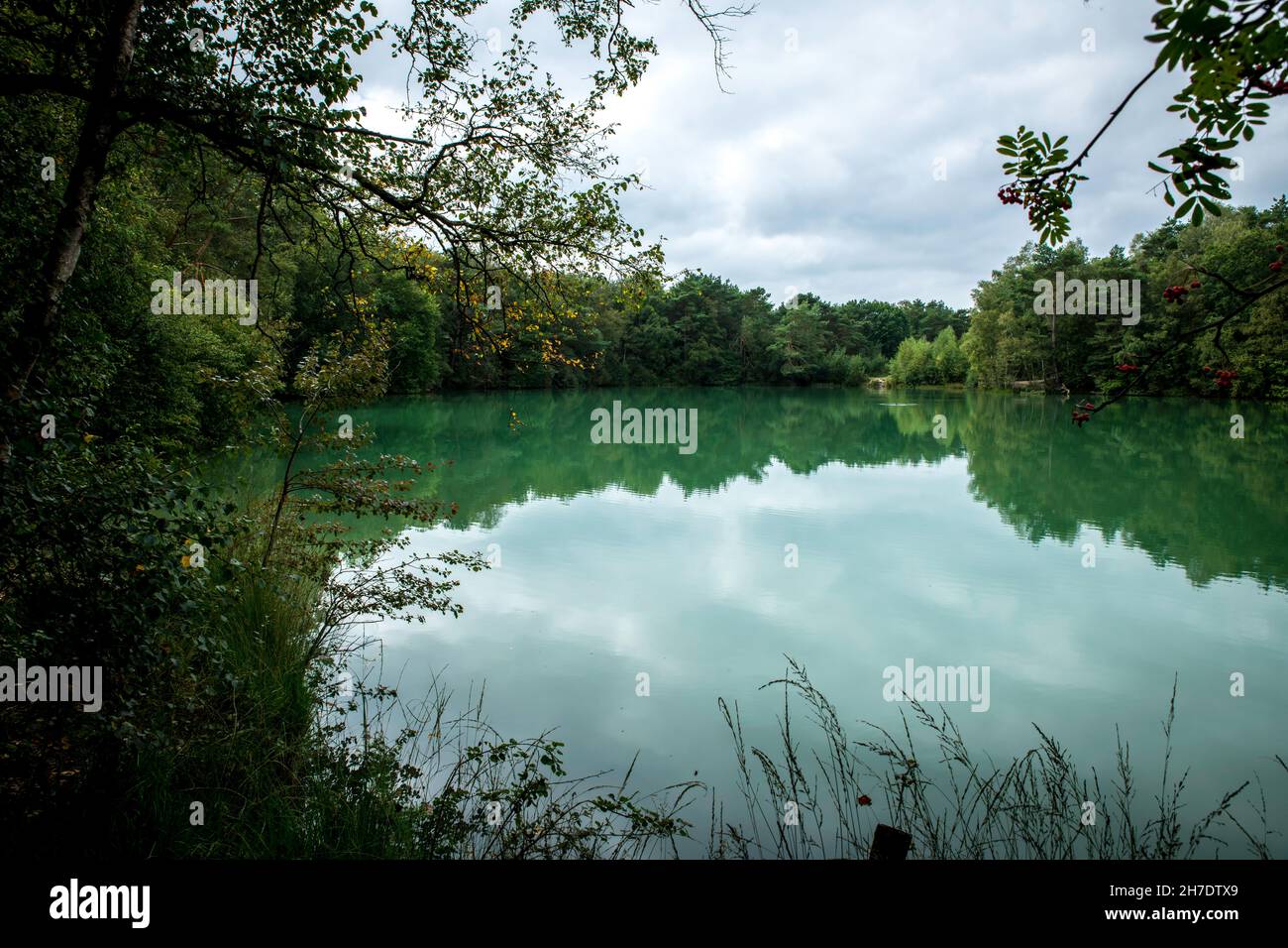 the blue lake in drenthe in holland Stock Photo - Alamy