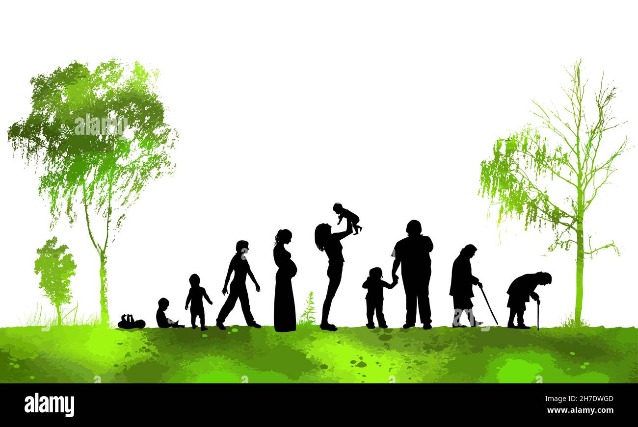 Life stages baby to adult hi-res stock photography and images - Alamy