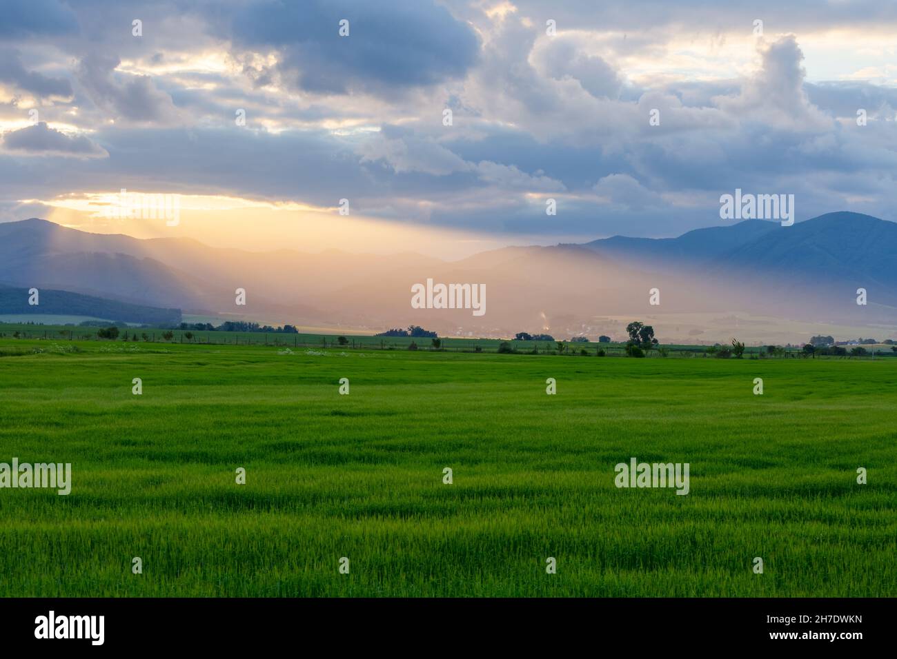 Summer rural landscape at Karlova village, Slovakia Stock Photo - Alamy
