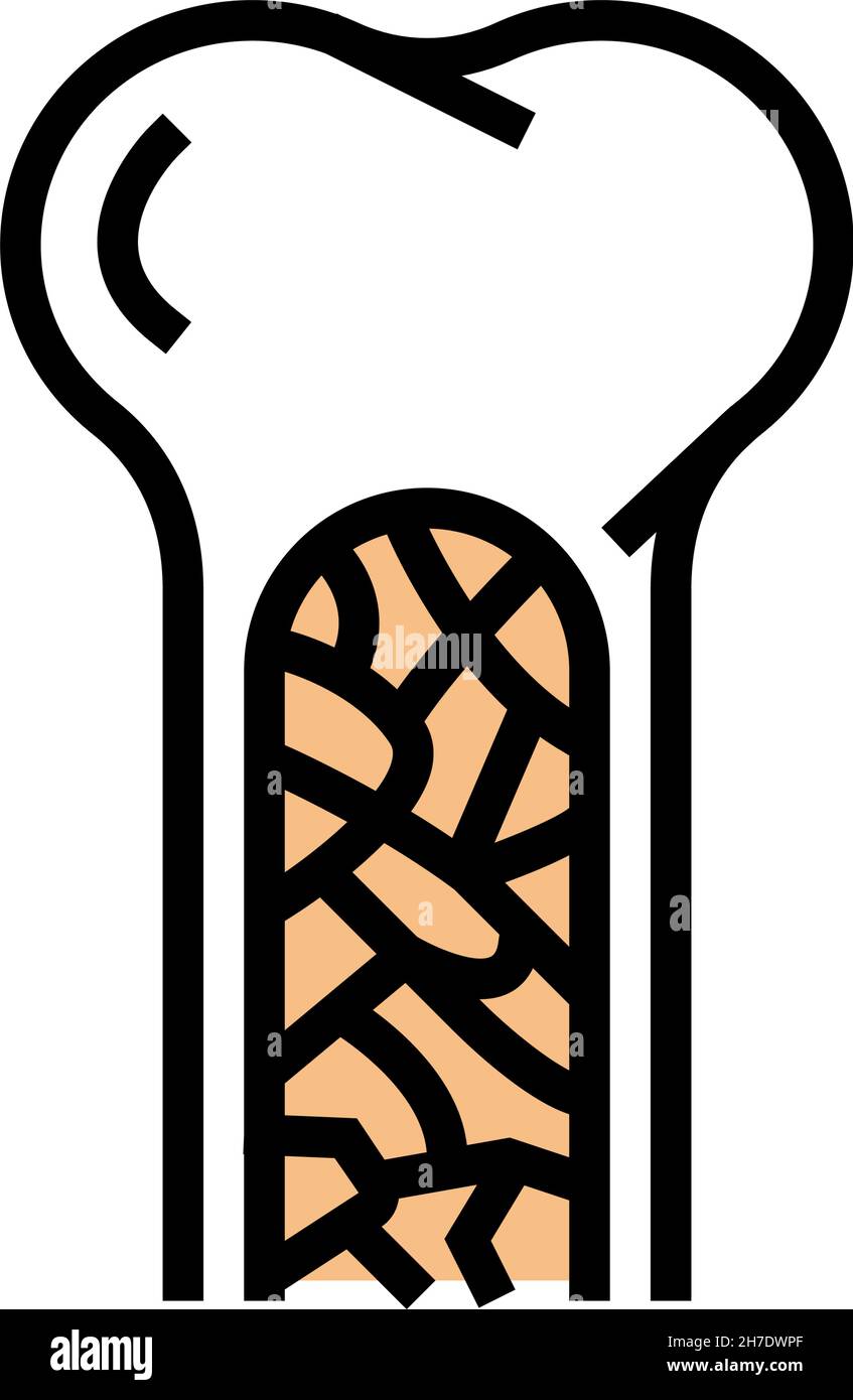 bone marrow color icon vector illustration Stock Vector Image & Art - Alamy