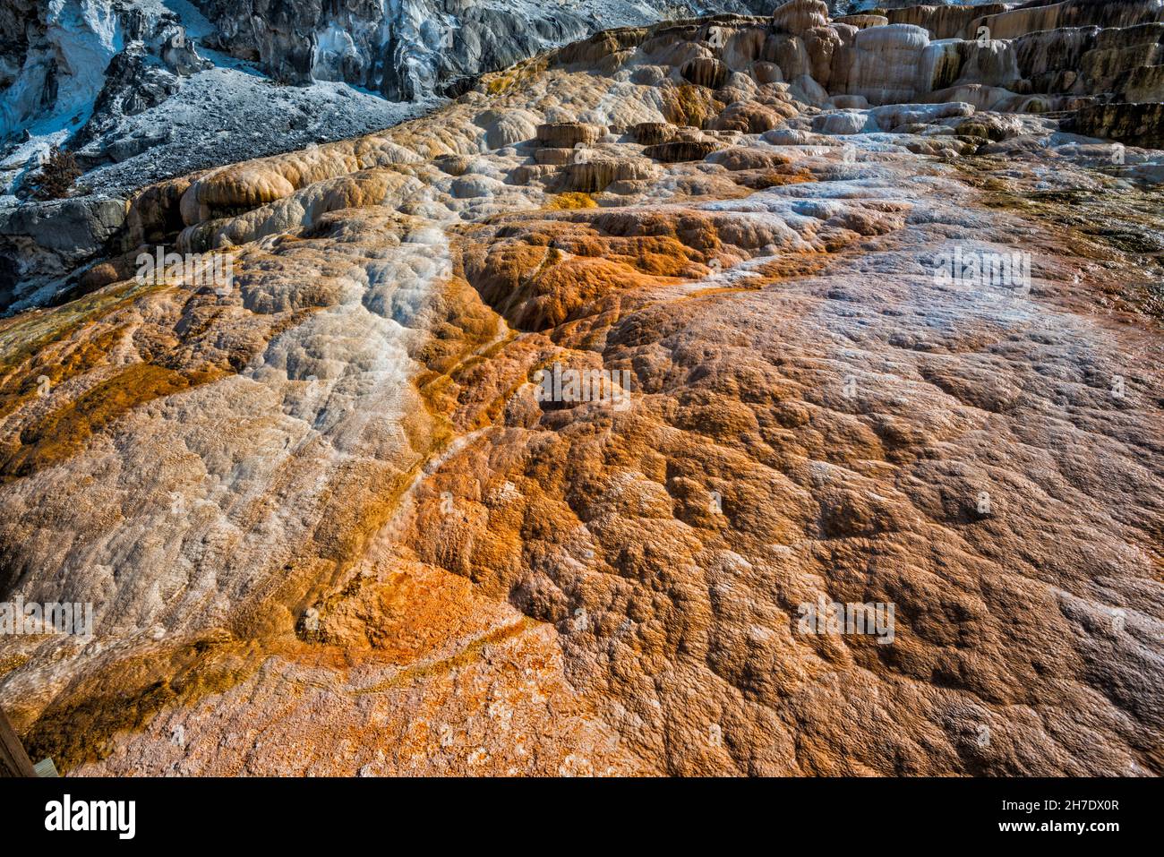 Mammoth hot springs terraces hi-res stock photography and images - Alamy