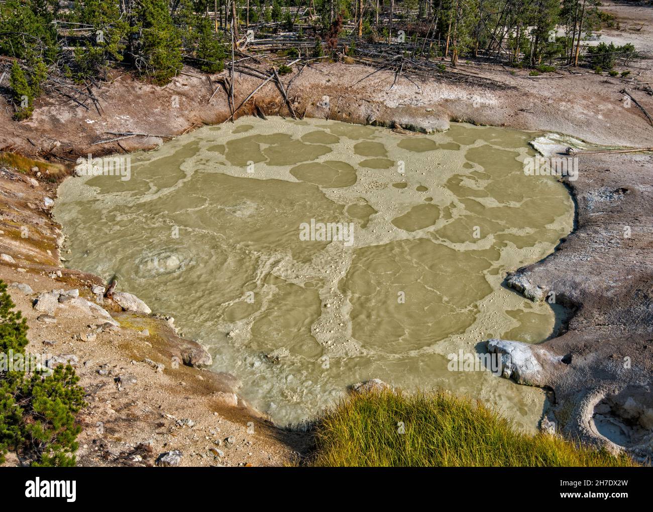 Hot water pool in Mud Volcano thermal area in Yellowstone National Park, Wyoming, USA Stock ...