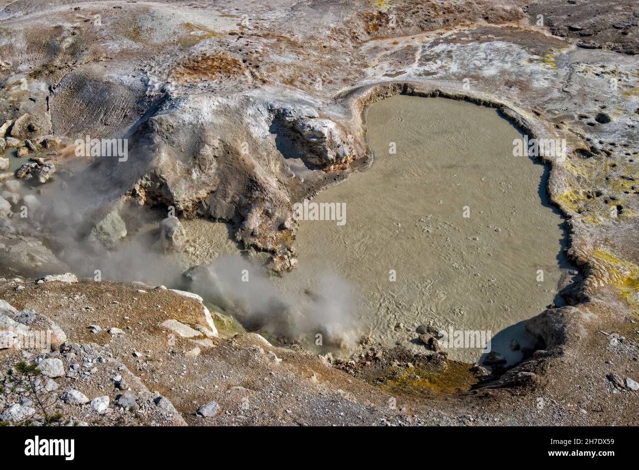 Hot water pool in Mud Volcano thermal area in Yellowstone National Park ...