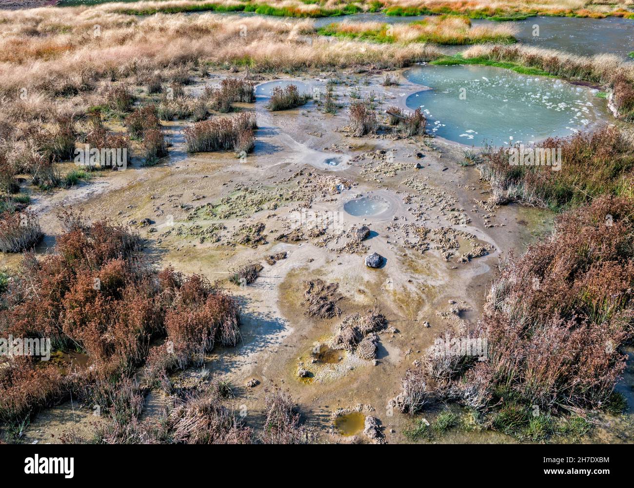 Hot water pool in Mud Volcano thermal area of Yellowstone National Park ...