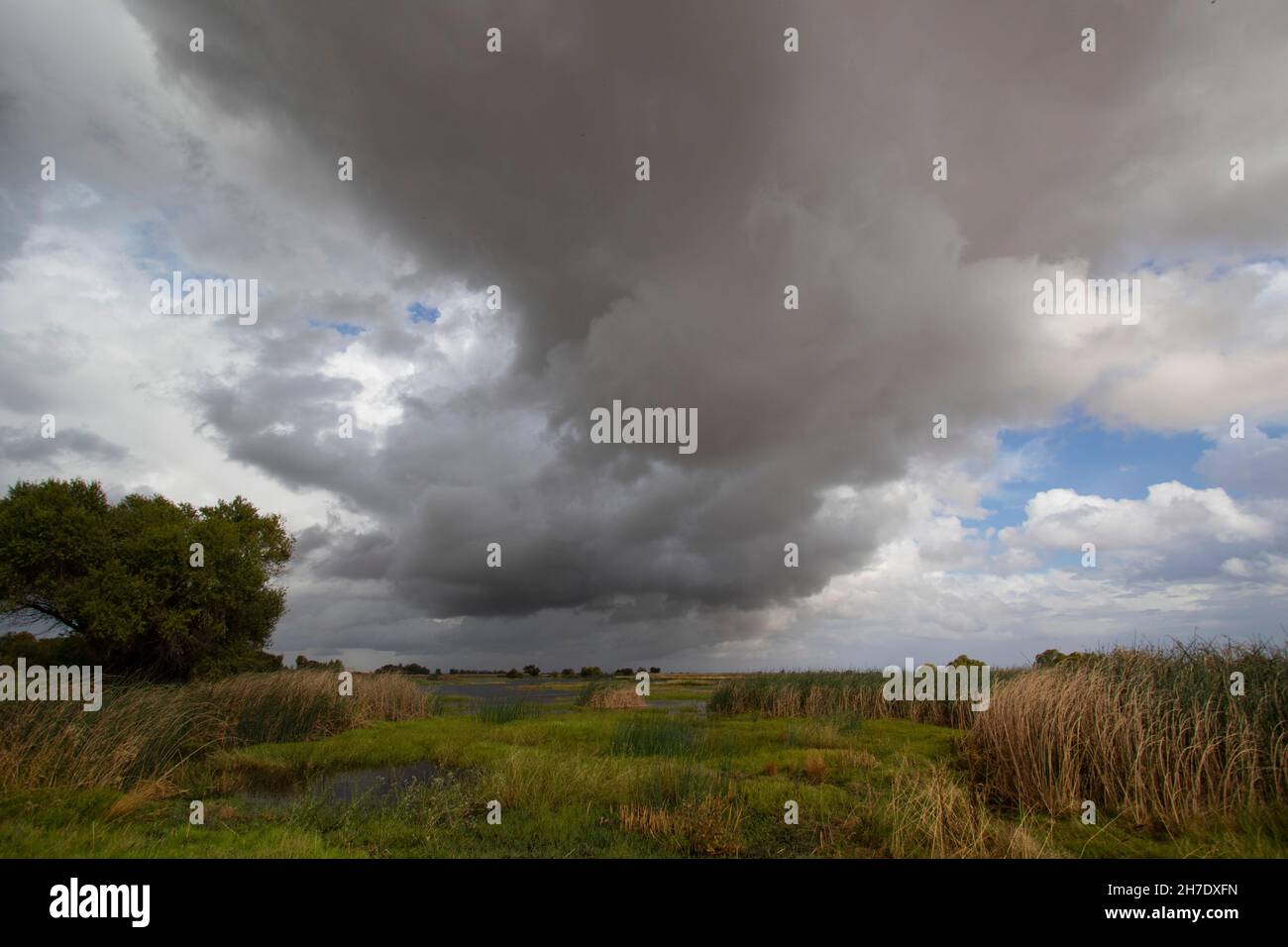 Cloud patterns over a freshwater marsh following a rare bombastic ...