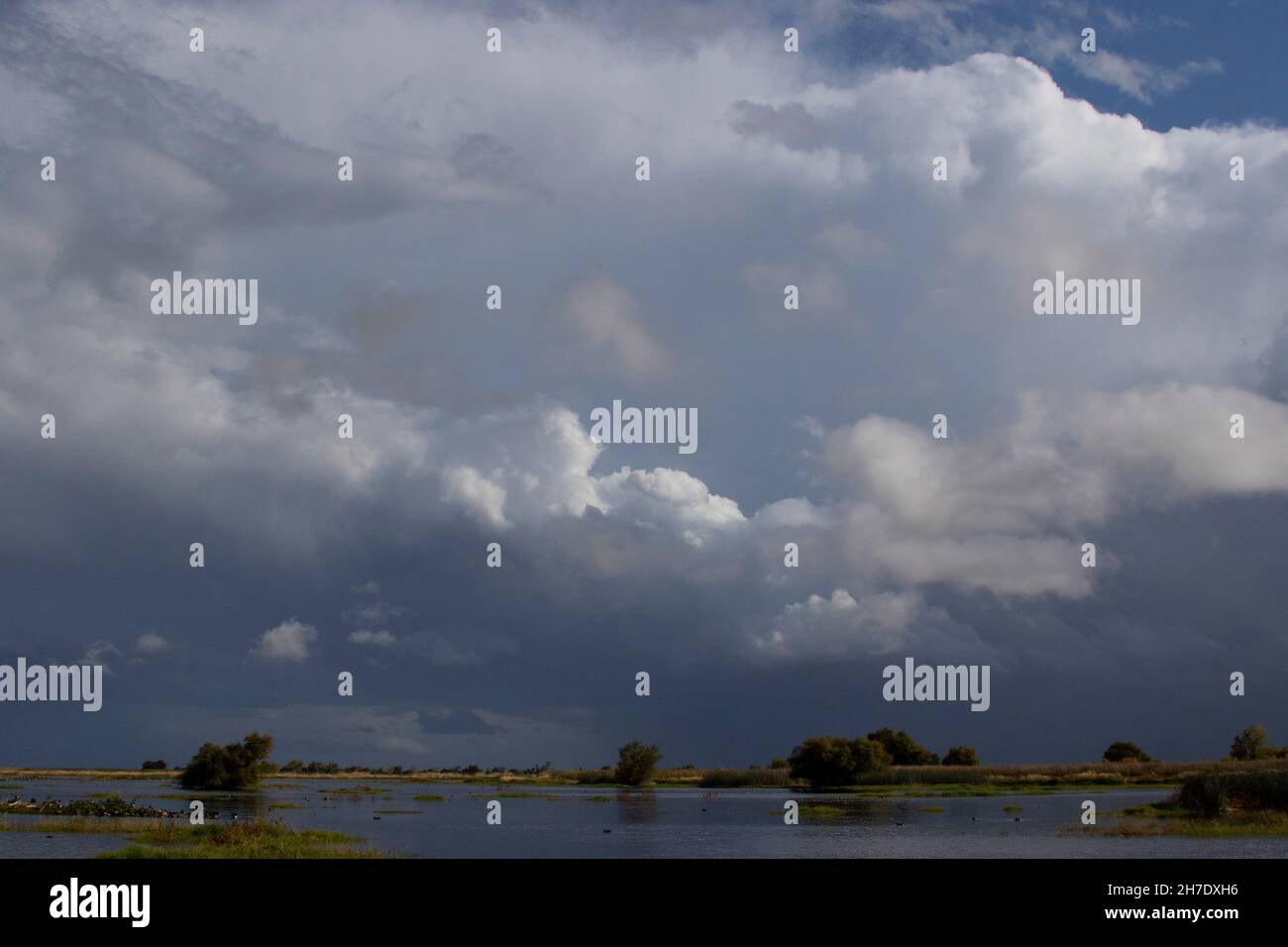 An Autumn rainstorm forms a background over a Merced NWR wetland in ...