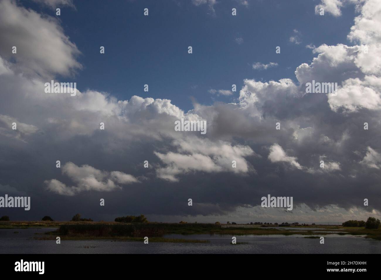 An Autumn rainstorm forms a colorful background to a Merced NWR ...
