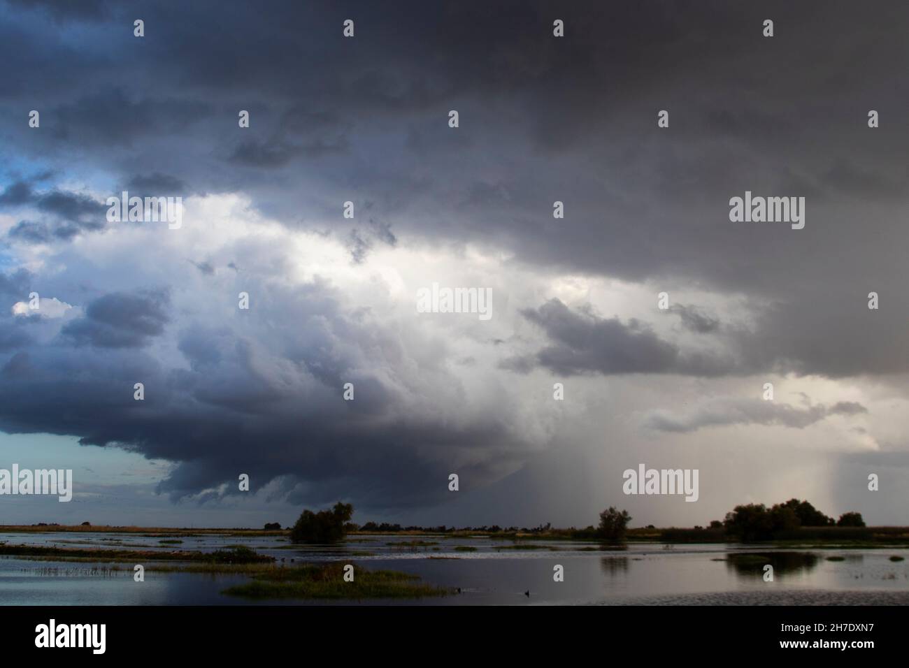 An Autumn rainstorm forms a panoramic background over habitat on the ...