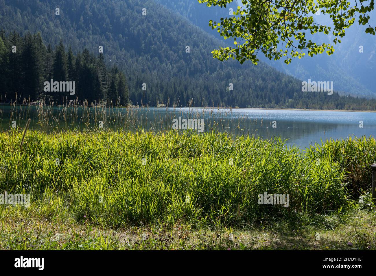 Toplitzsee hi-res stock photography and images - Alamy