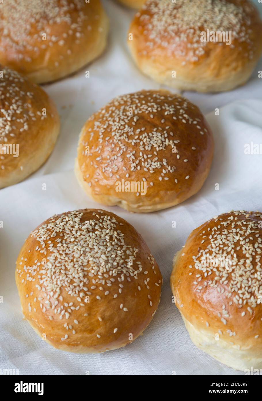 Several sesame buns Stock Photo - Alamy