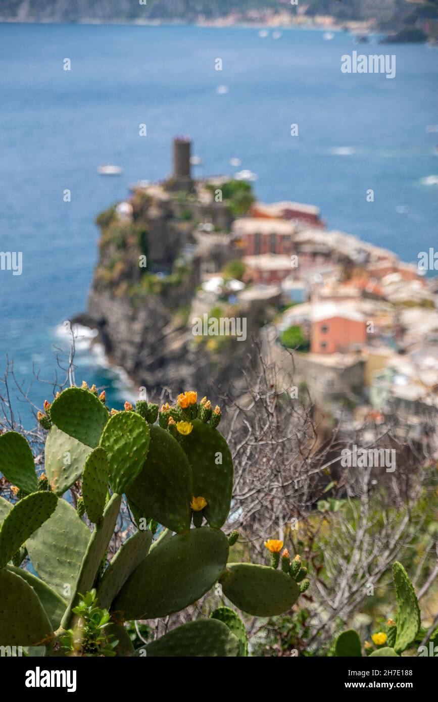 Vernazza, Cinque Terre, Italy Stock Photo - Alamy