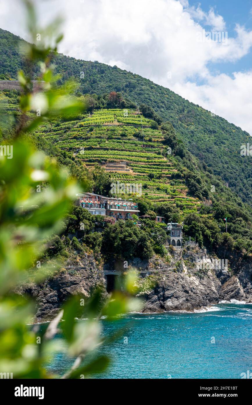 Monterosso al Mare, Cinque Terre, Italy Stock Photo - Alamy