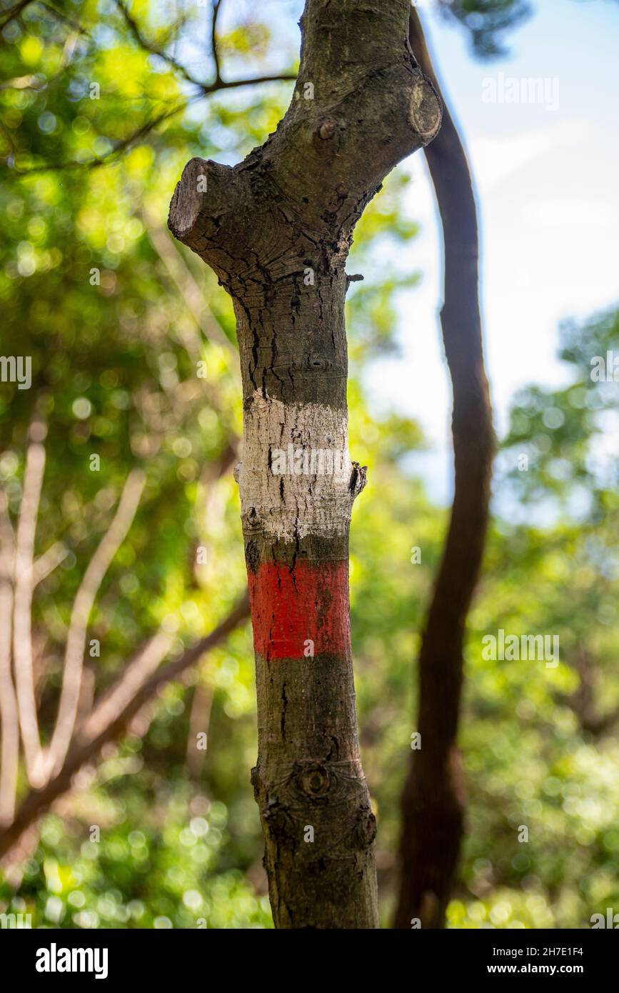 Directional markers along the hiking trails of Cinque Terre Stock Photo ...