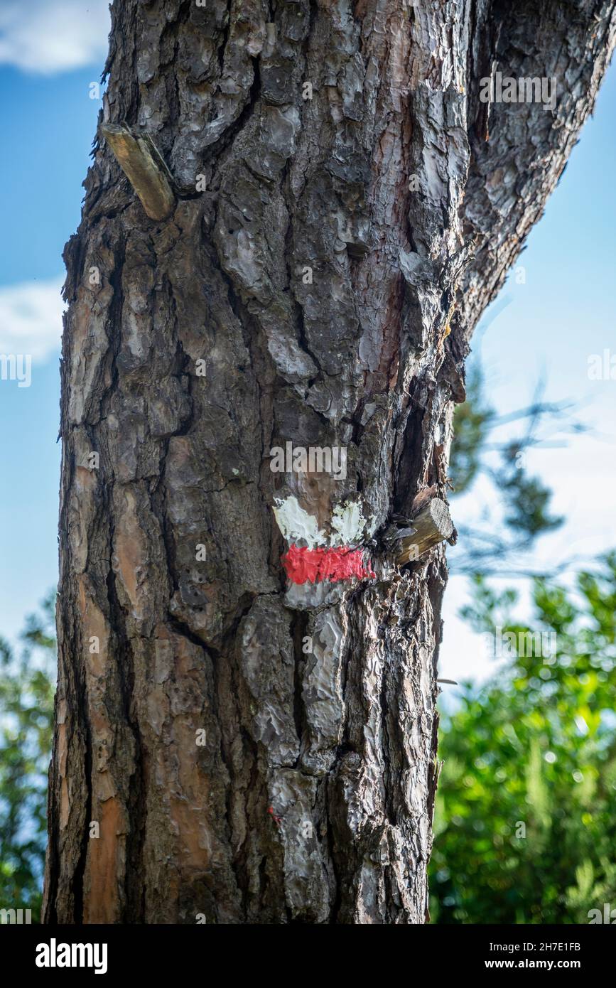 Directional markers along the hiking trails of Cinque Terre Stock Photo ...