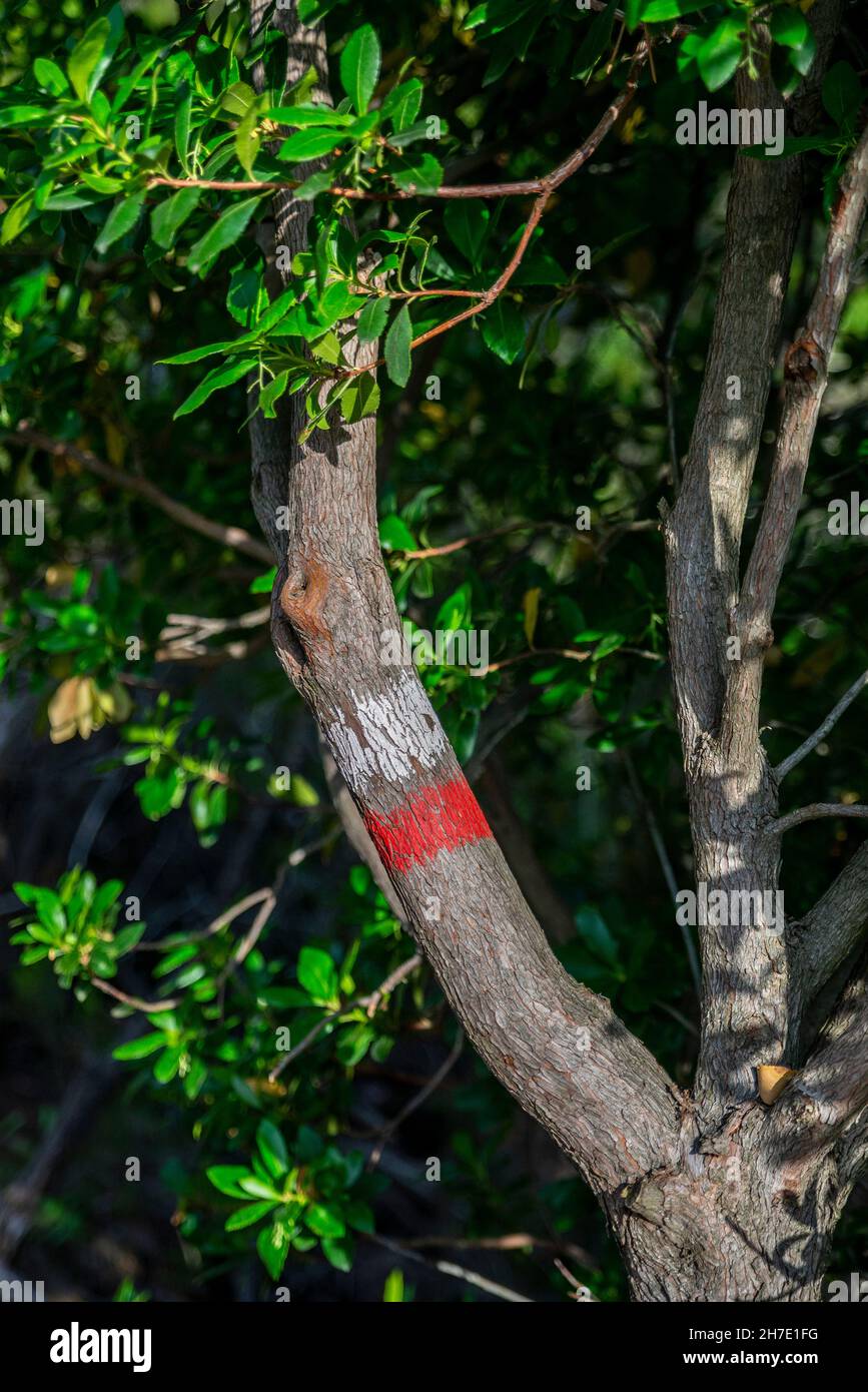 Directional markers along the hiking trails of Cinque Terre Stock Photo ...