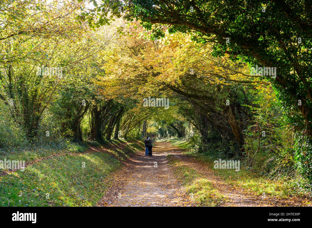 Halnaker roman road uk hi-res stock photography and images - Alamy