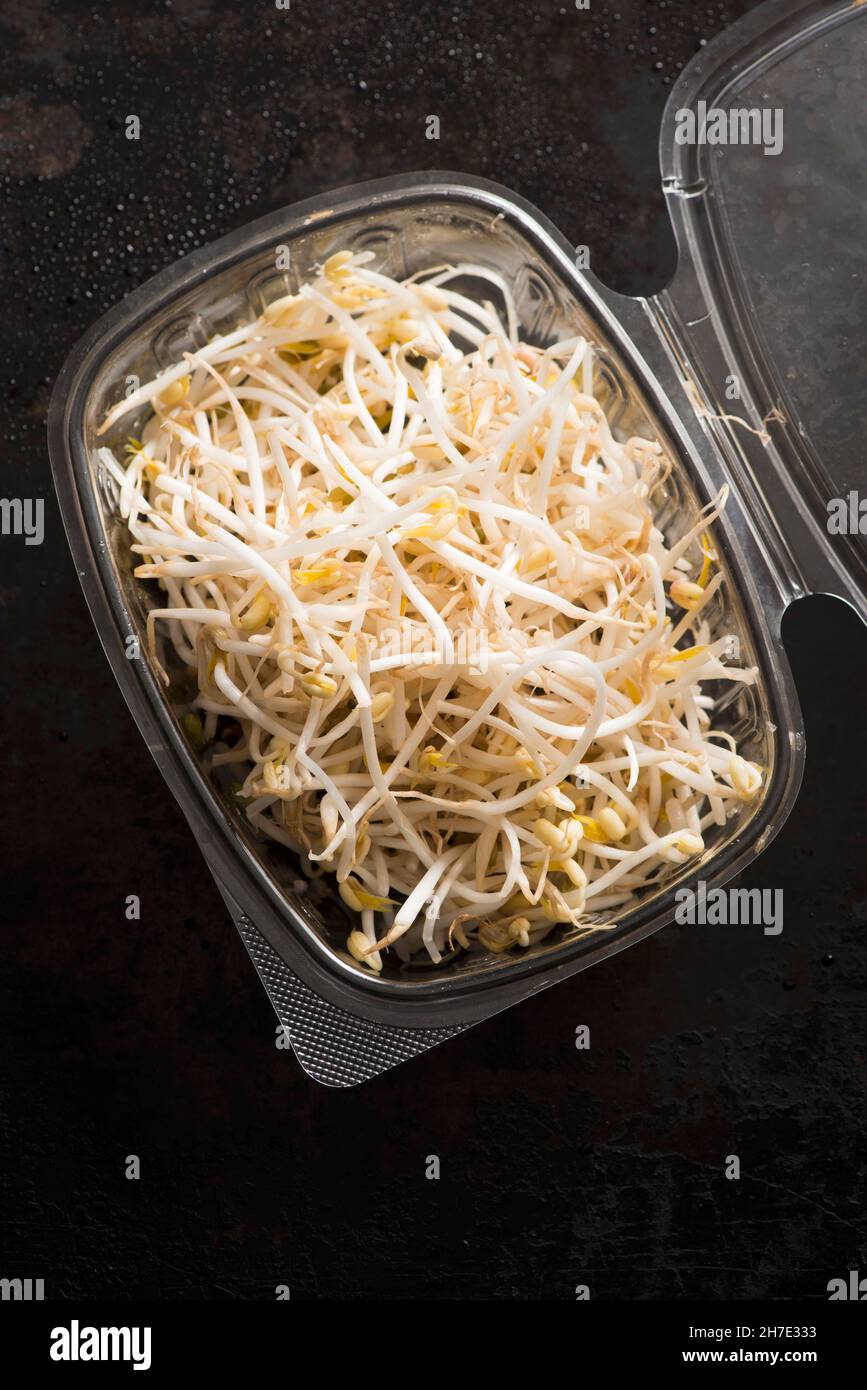 Soya sprouts in a plastic container Stock Photo - Alamy